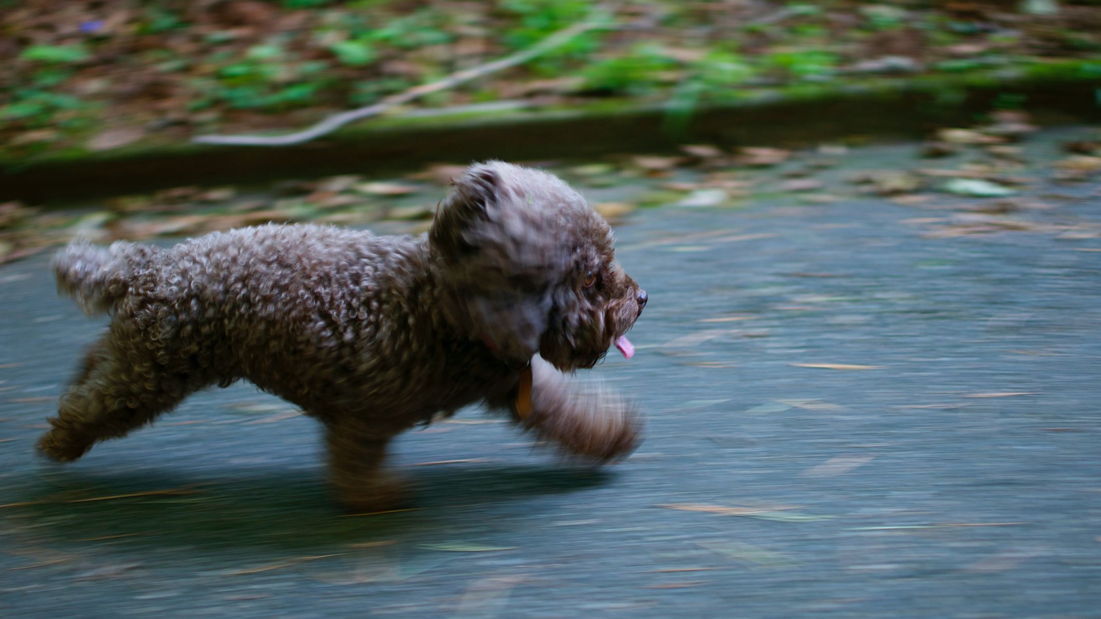 Welcome to Hugo Blox Builder, the website builder for Hugo | Ulises Serratos